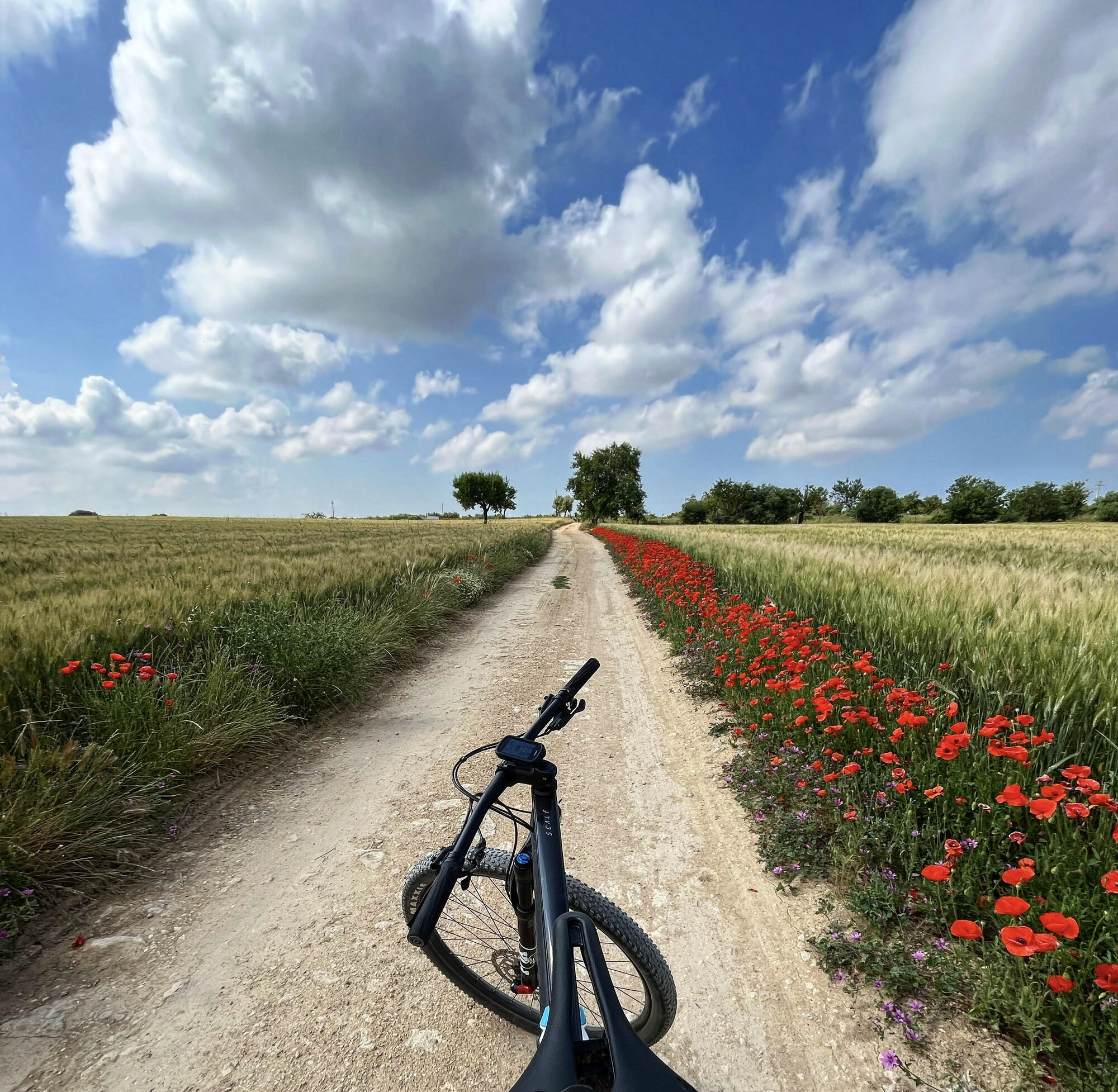 Viaggiare in Puglia